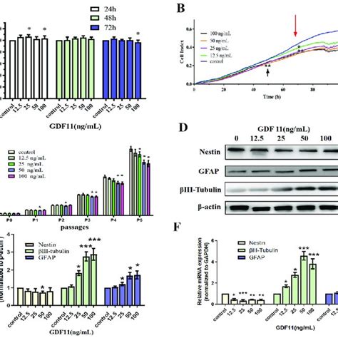 Effects Of Gdf11 On Pc12 Cells A The Viability Of Pc12 Cells Treated