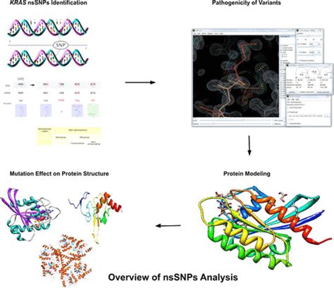 In Silico Analysis Of Nssnps Of Human Kras Gene And Protein Modeling Using Bioinformatic Tools