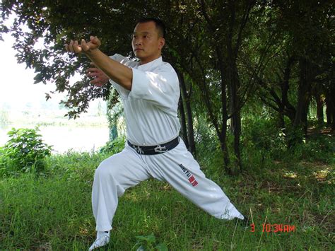 唐手道图册 360百科