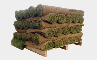 Roll Out Grass Rolls Lawn And Grass Turf Rolls For Sale Dublin And Ireland