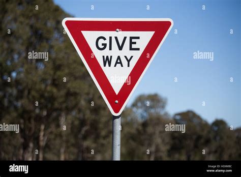 Yield Sign Ahead Sign