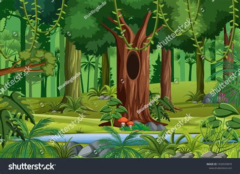 1075365 숲 사진 이미지 스톡 사진 및 벡터 Shutterstock