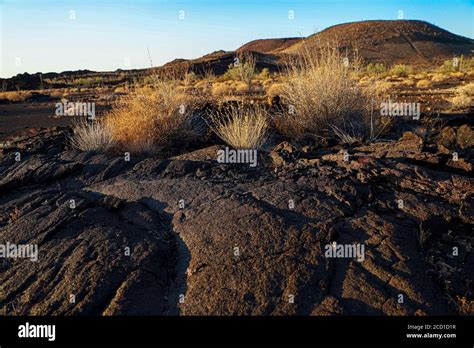 Desierto De Sonora En Las Tierras Altas De La Reserva De La Biosfera El