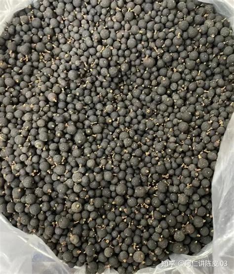 揭秘新会小柑胎：了解其独特之处 知乎