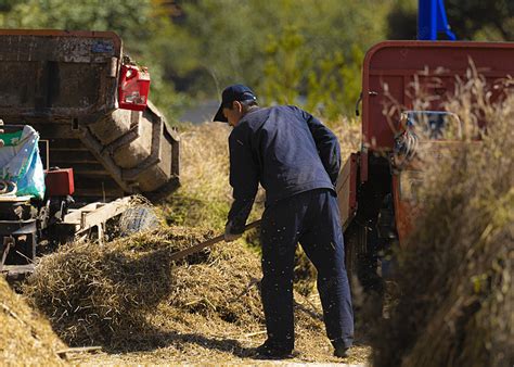 가을 수확 농민 사진 지도 배경 및 무료 다운로드를위한 그림 Pngtree