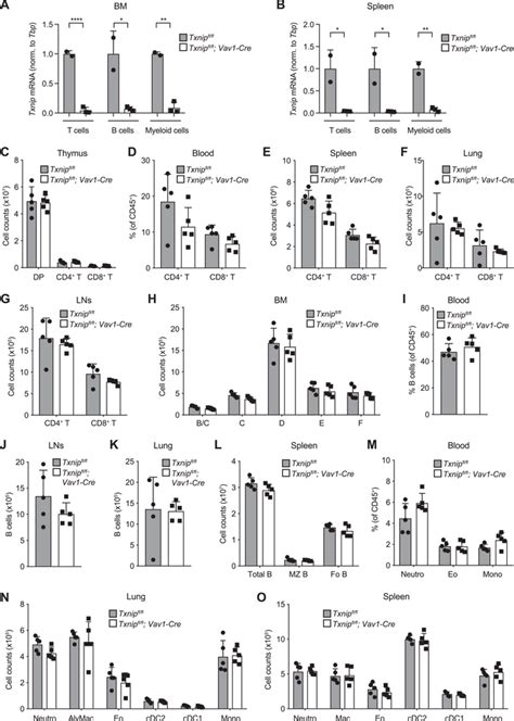 Txnip Is Dispensable For The Hematopoietic Development And Maintenance Download Scientific
