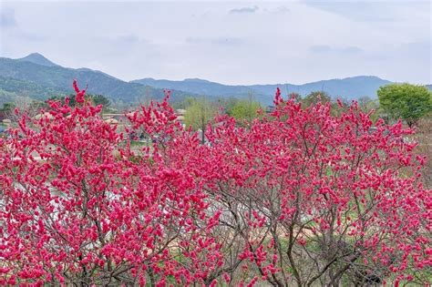 Andong Korea Everything You Must See Do Eat And Try The Soul Of Seoul