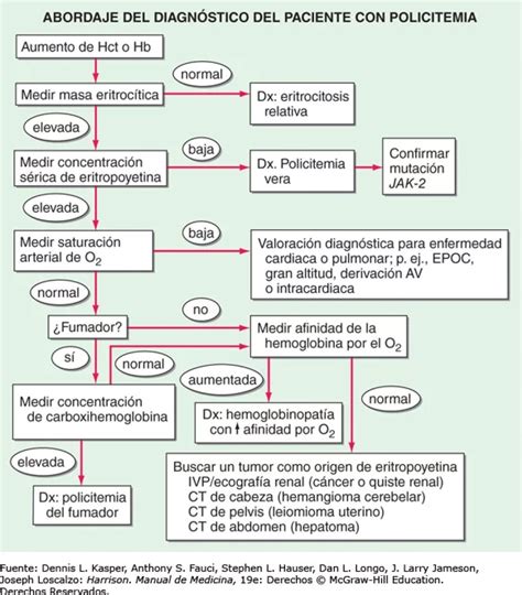 Eritrocitosis O Policitemia Fundación Sonría