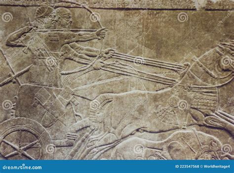 Ashurnasirpal Hunting Lions From Chariot Nimrud Palace Stone Reliefs