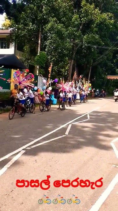 සයුල්ගේ පාසල් පෙරහැර🚲 Shorts Short School Youtube