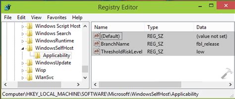 FIX Failed To Download The New Preview Build In Windows 10