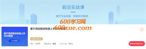 马士兵 基于项目驱动快速上手s框架 完结无秘 码课堂