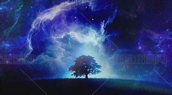 唯美星空下的树壁纸专题模板 唯美星空下的树壁纸图片素材下载 我图网