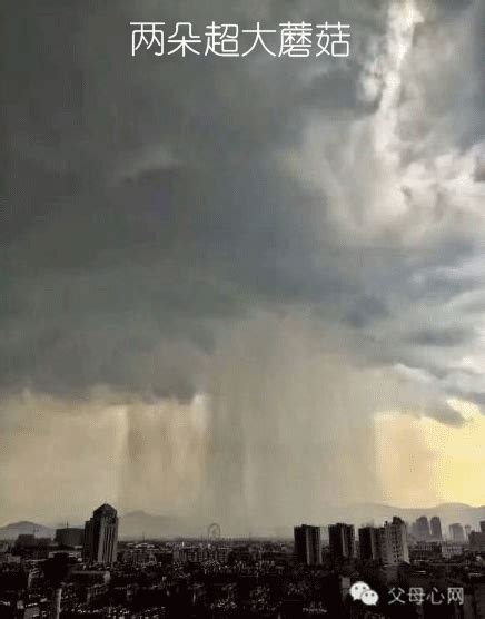 愛吃菌的雲南人，來鑑定一下這朵怎麼樣，在線等 每日頭條
