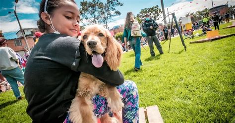 Проект який прагнув надати оплачувану відпустку на смерть домашнього улюбленця затонув Infobae