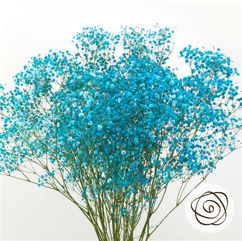 Turquoise So Bella Flowers