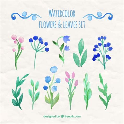 수채화 꽃과 나뭇잎 세트 무료 벡터