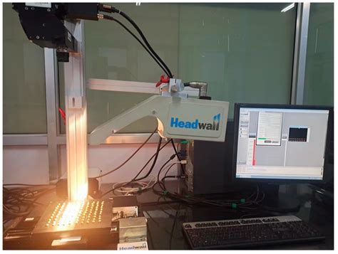 Sensors Free Full Text Y Net Identification Of Typical Diseases Of Corn Leaves Using A 3d