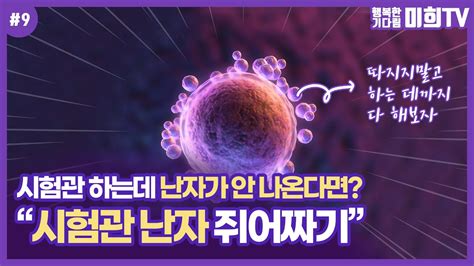 시험관 난자 채취 개수 너무 적다면 난자의 개수를 늘리는 방법 영양제 등 전략적으로 이식해봐요 Youtube
