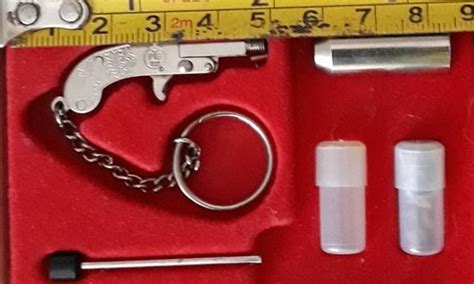 Newcastle Man Caught With Tiny Key Ring Pistol Pleads Guilty To Possession Of A Firearm