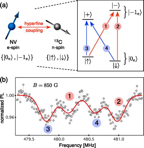 Spin System A A Single NV Defect Is Coupled With A C13 Nuclear Spin