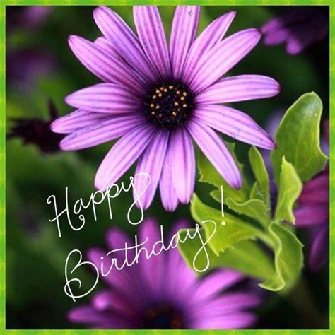 Best Color Flowers For Birthday At Danelle Perez Blog