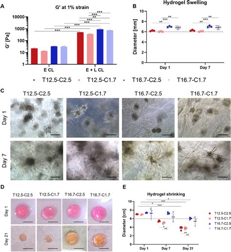 material characterization and hmsc migration in 4 different tha col