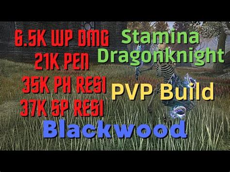 Stamina Dragonknight Solo Build Blackwood Elder Scrolls Online