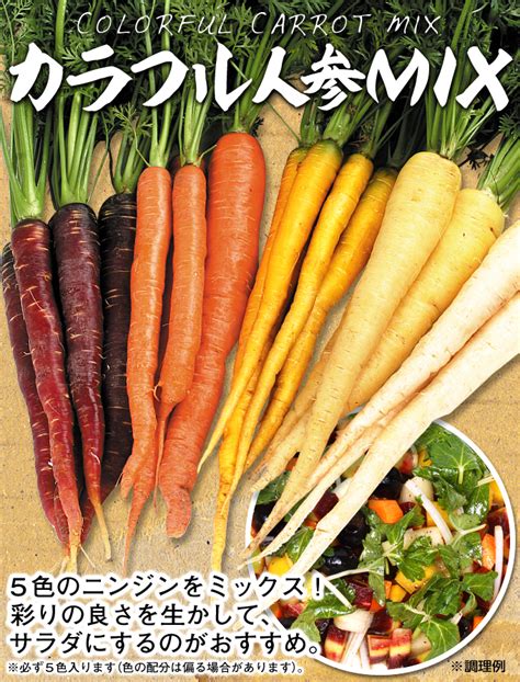 ニンジン 人参 にんじん タネ F1ひとみ五寸 1袋 5ml 種 野菜たね 最大84offクーポン