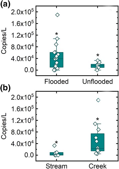 A Comparison Of The Loads Of Ttrc Gene From Different Sites Sampled In