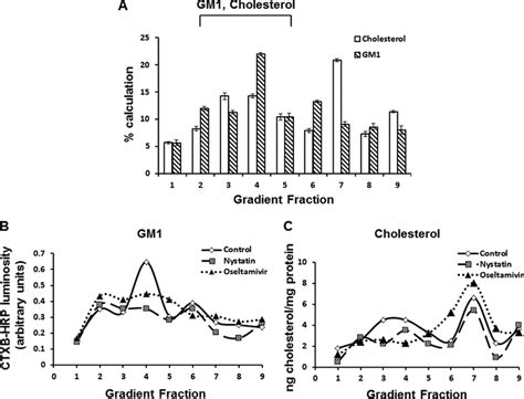 Isolation Of Gm1 And Cholesterol Enriched Lipid Rafts To Isolate
