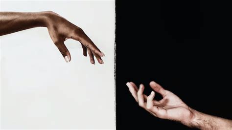 The Origins Of Race Classification Shortform Books