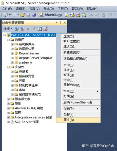 SQL SERVER 修改sa账户密码后还是不能登录的解决方法 知乎