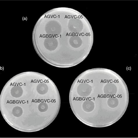 Inhibition Zones Around Composites S Aureus Atcc6538 A S Aureus