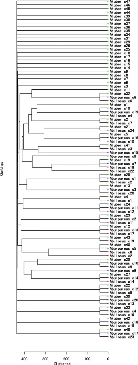 Dendrogram Of Secondary Metabolite Biosynthetic Gene Clusters Observed Download Scientific
