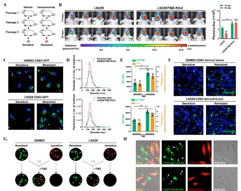 J Nanobiotechnology Circcabin