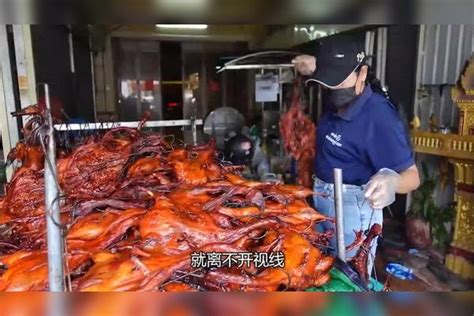 广西仔在越南卖鸭月入15万，亲戚说不可能，参观一看：赚少了！月入亲戚越南