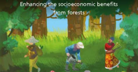 El Estado De Los Bosques Del Mundo 2014