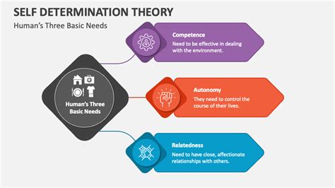 Self Determination Theory PowerPoint Presentation Slides PPT Template
