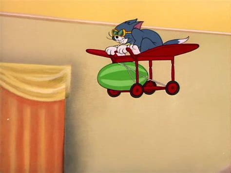 Tomcat Or Something Idk I Dont Understand Planes Rfloggit