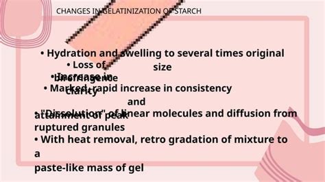 Composition Of Starch 20250708 034354 0000 Pptx