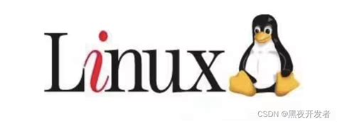 linux命令200例：kill用来终止或者结束进程（常用） linuxkill进程命令 csdn博客