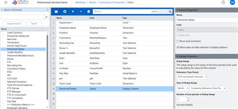 Workday Adaptive Planning Tips And Tricks Using Display Fields In