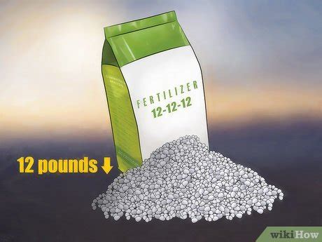 How To Fertilize Fruit Trees Steps With Pictures WikiHow