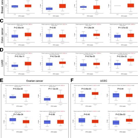 Phosphorylation Analysis Of Prkdc Protein Across Tumors A The Download Scientific Diagram