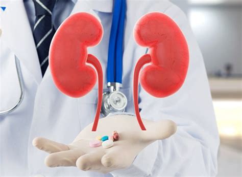 The Best Cardiologist In Rochester Ny Find Doctor 24