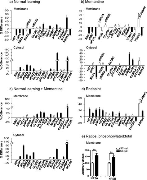 Response Of The Nmda Receptor Subunits And Related Proteins In The Download Scientific Diagram