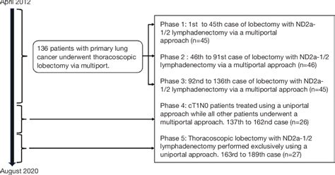 Figure 2 From The Learning Curve Of Thoracoscopic Surgery In A Single Surgeon And Successful
