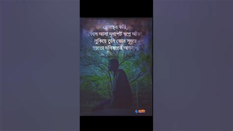 Alo Alo Ami Kokhono Khuje Pabo Na Chader Alo Tumi Kokhono Amar Hobe Na
