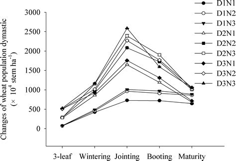 Optimizing Plant Density And Nitrogen Application To Manipulate Tiller Growth And Increase Grain